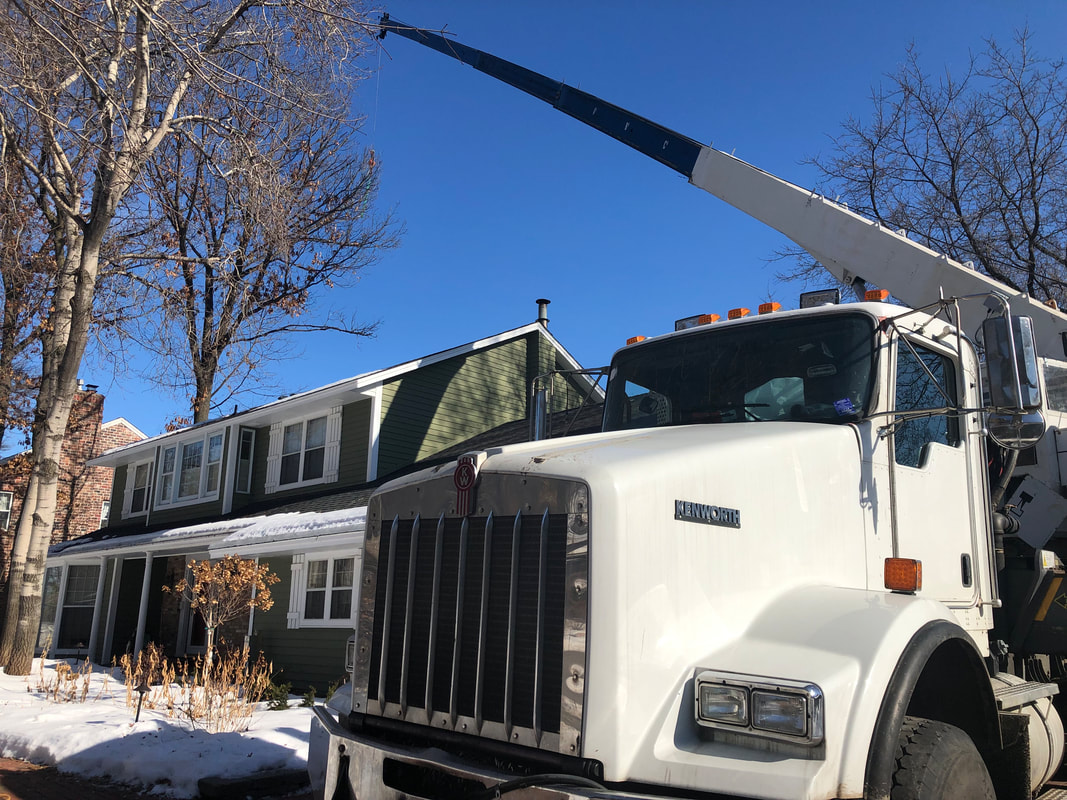 Tree Removal Services in Minneapolis - Metro Tree and Crane