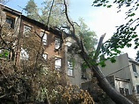Tree Removal Services in Minneapolis - Metro Tree and Crane